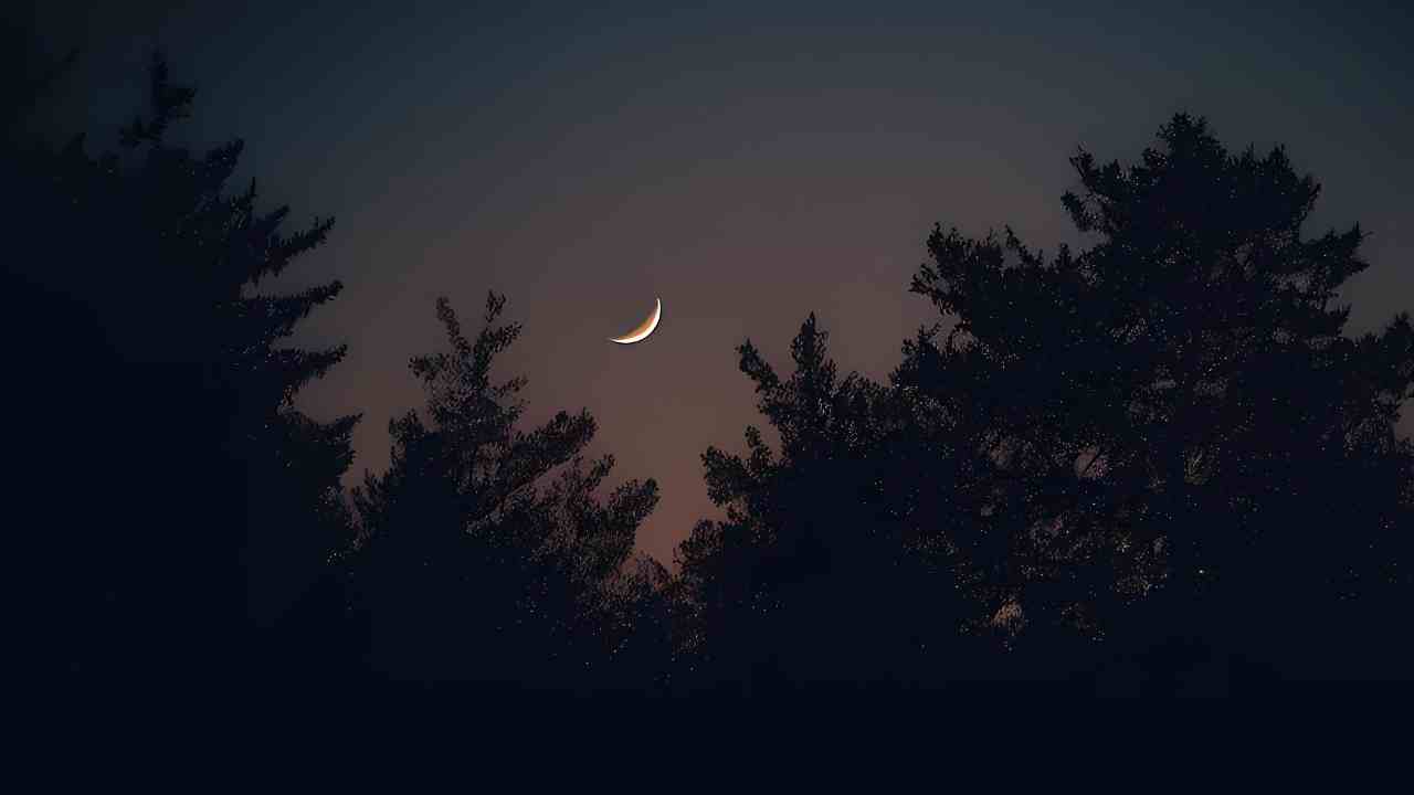 La nuit du «Mehraj Shareef» commémorée ce vendredi | Le Defi Media Group