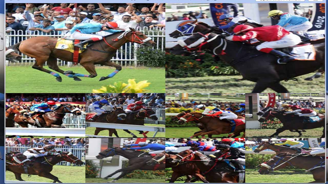 Le Défi-Turf : Best rides of the season 2019 | Le Defi Media Group